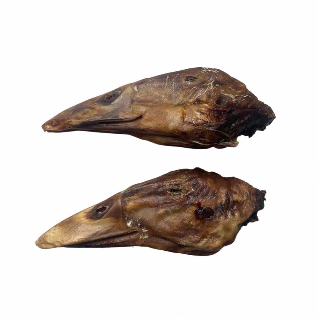 Duck – Stormy Snacks